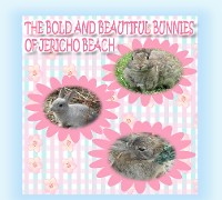 The Bold and Beautiful Bunnies of Jericho Beach von Kong auf reinlesen.de